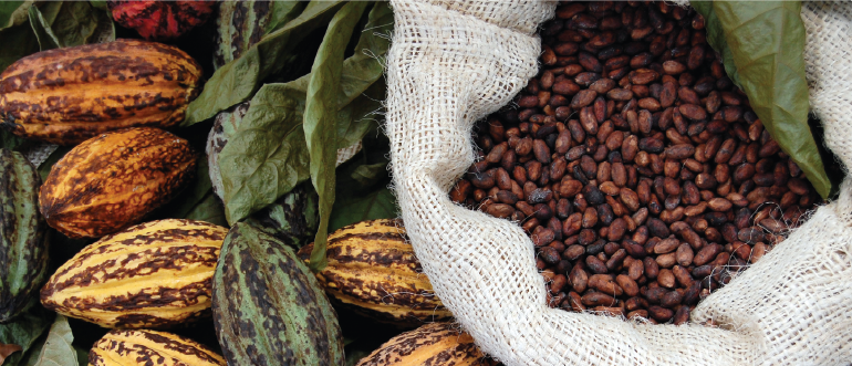 Cocoa Prices Remain Volatile | NACS